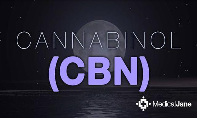 What is CBN and What are the Benefits of This Cannabinoid? - Principes ...